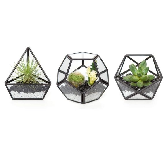 Accents | 4 Inches Mini Glass Geometric Terrarium Container Set Of 3 ...
